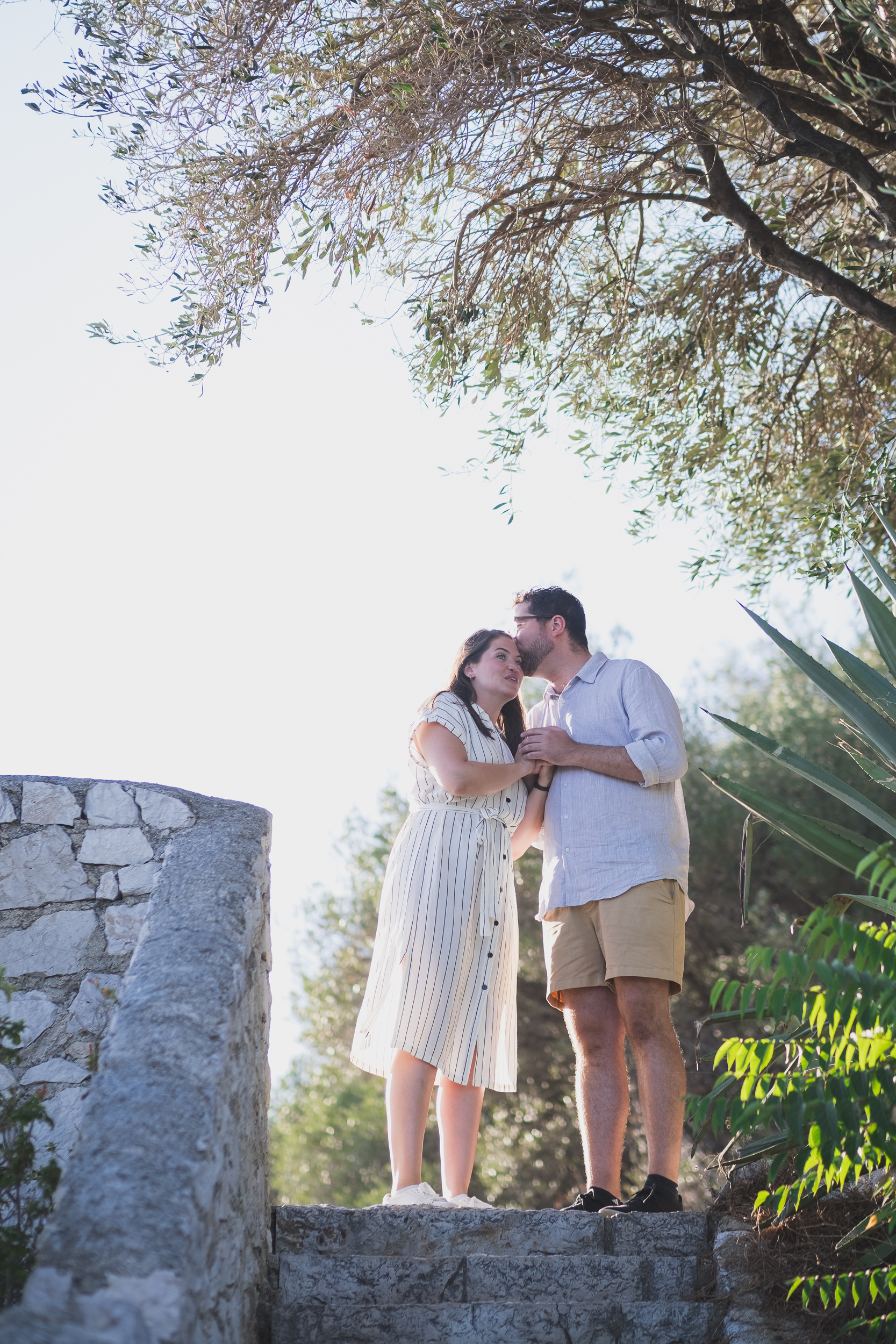 Nice Castle Hill Proposal