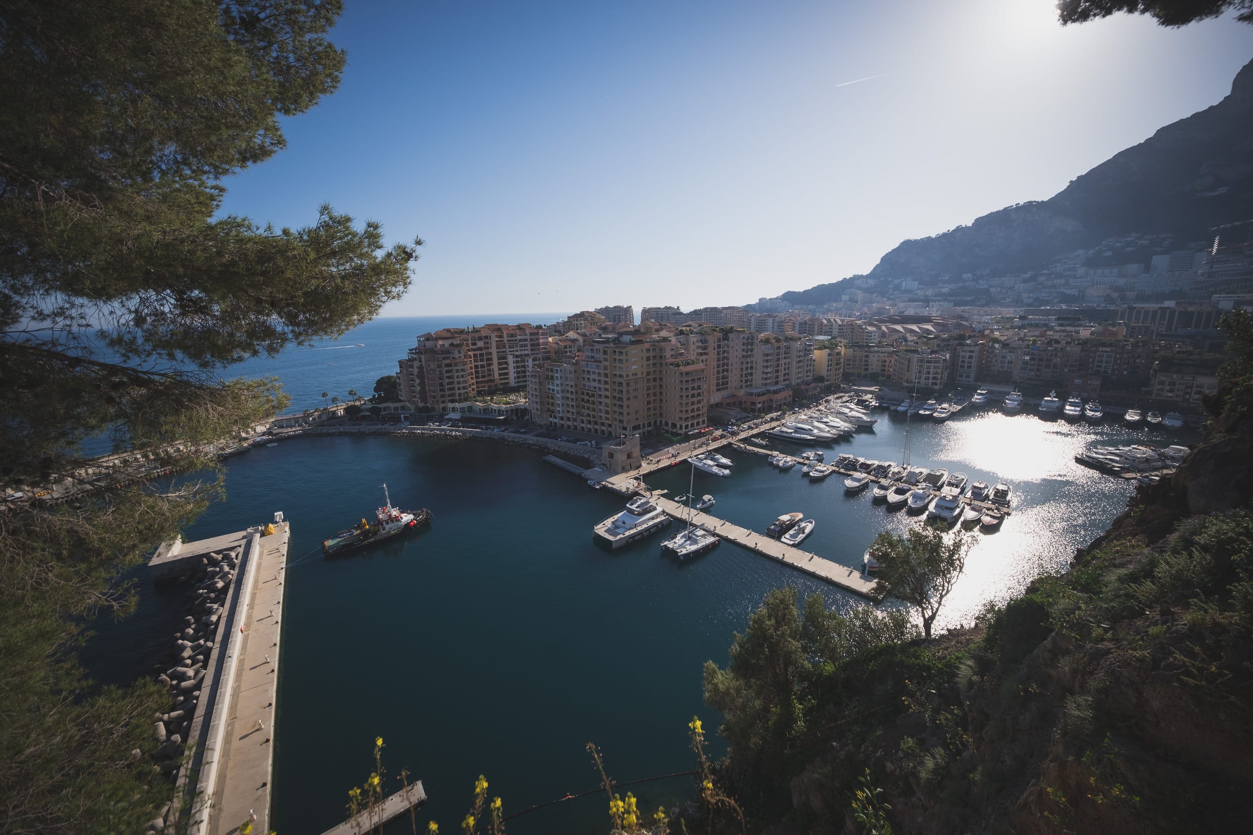 Monaco Intimate Proposal